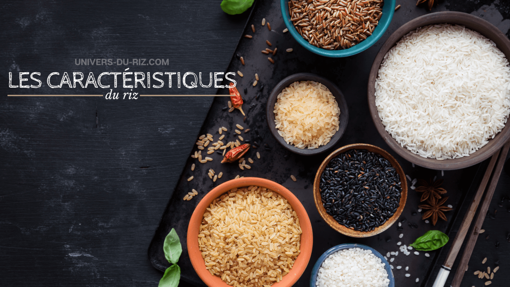 Les apports nutritionnels du riz - Univers du riz
